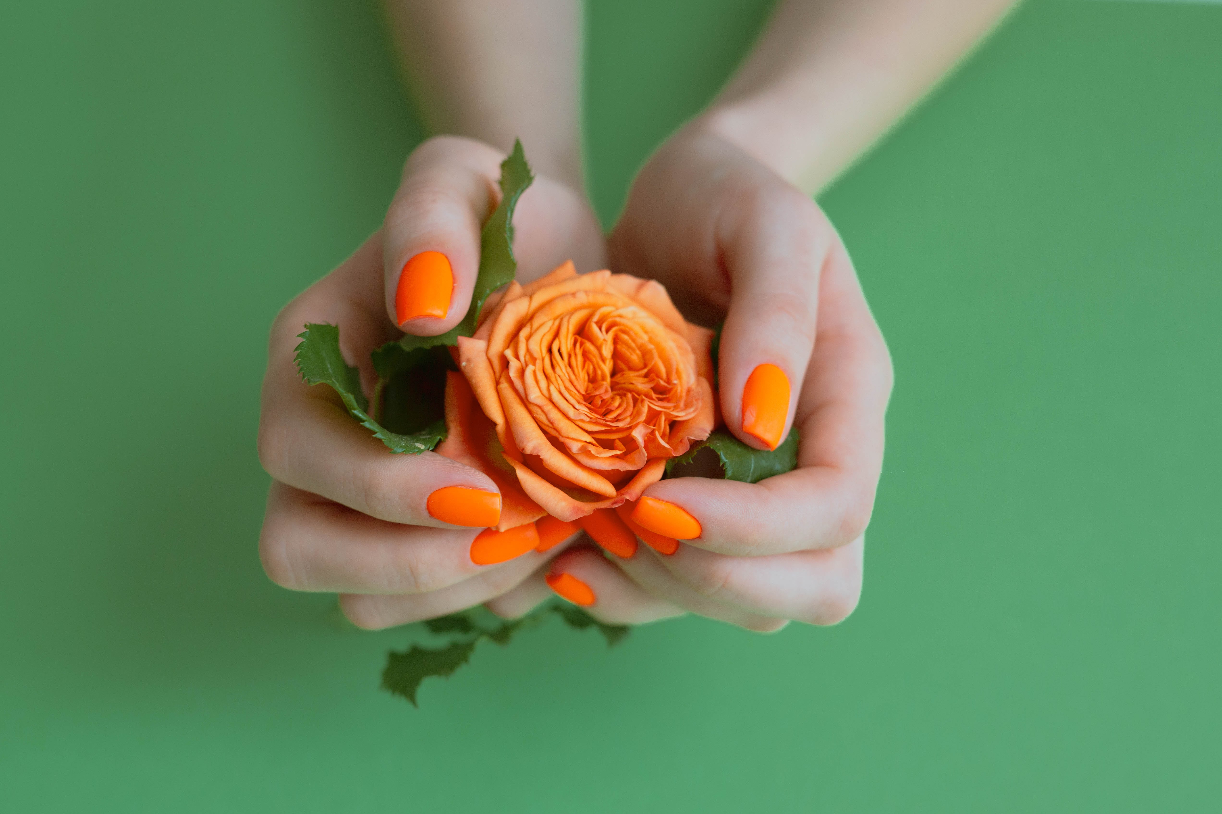 Shayna s Nails Spa PHOENIX ARIZONA Shayna s Nails Spa PHOENIX ARIZONA